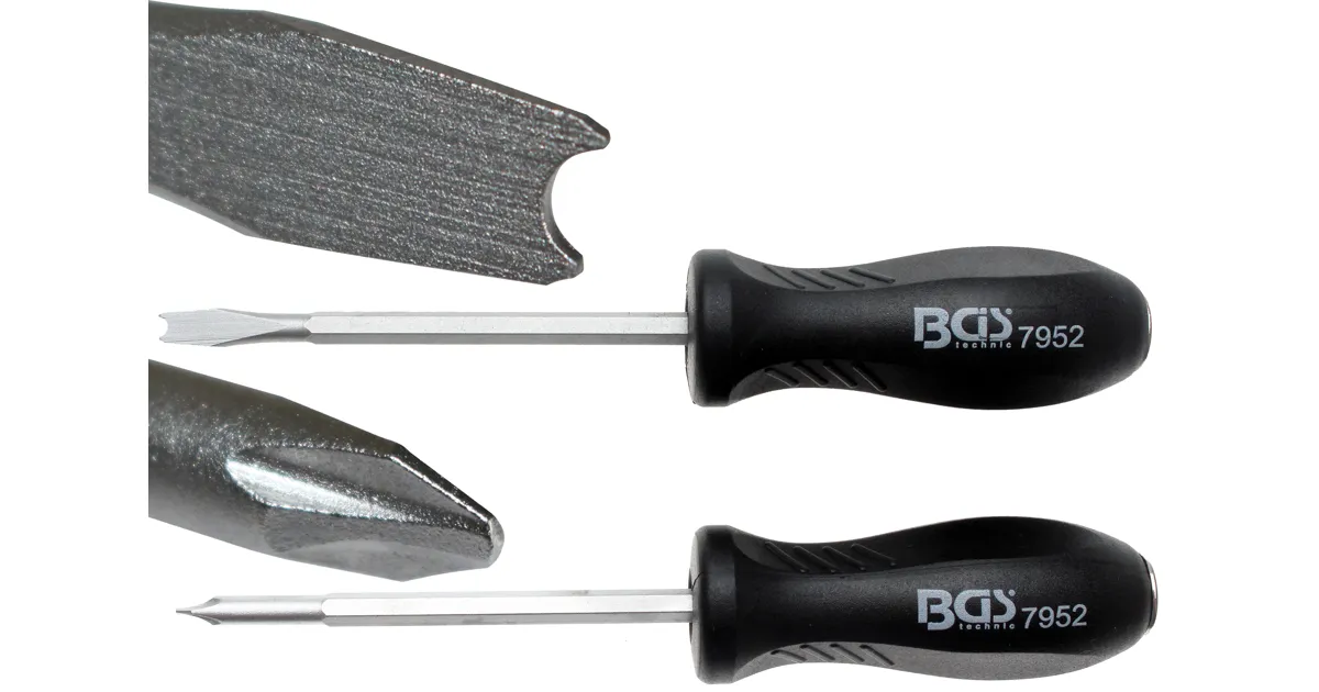 BGS Special Screwdriver Set, 2 pcs. | TOPENILEVNE.CZ